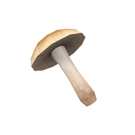 Shrooms | Schedule 1 Wiki | Fandom