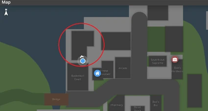 Kim Delaney | Schedule 1 Wiki | Fandom