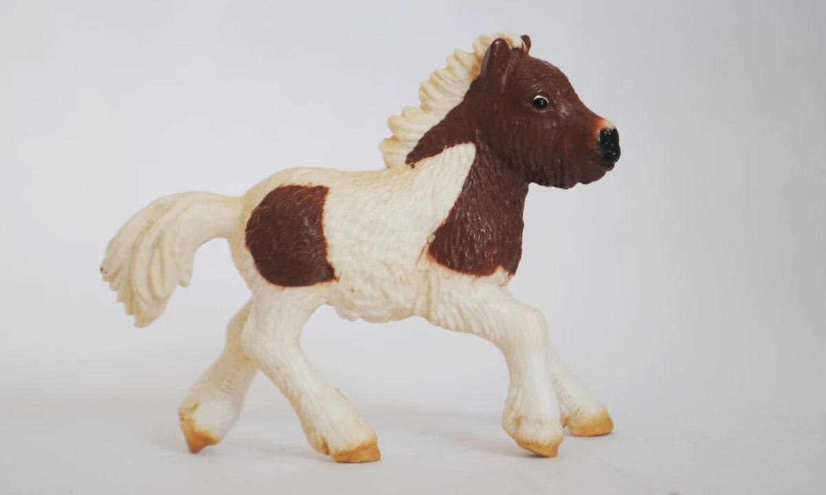 Poulain Shetland 13608 | Wiki Schleich-s | Fandom