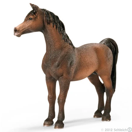 Arabian | SchleichHorses Wikia | Fandom