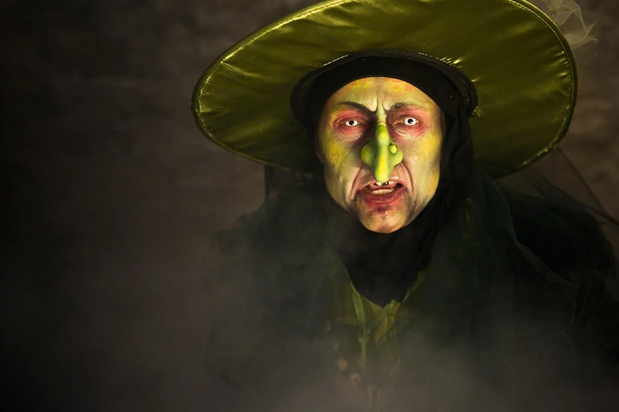 Karin Springer | Schloss Einstein Wiki | Fandom