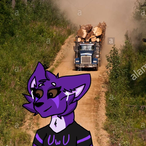 Purple | Scholastic Forums Wiki | Fandom