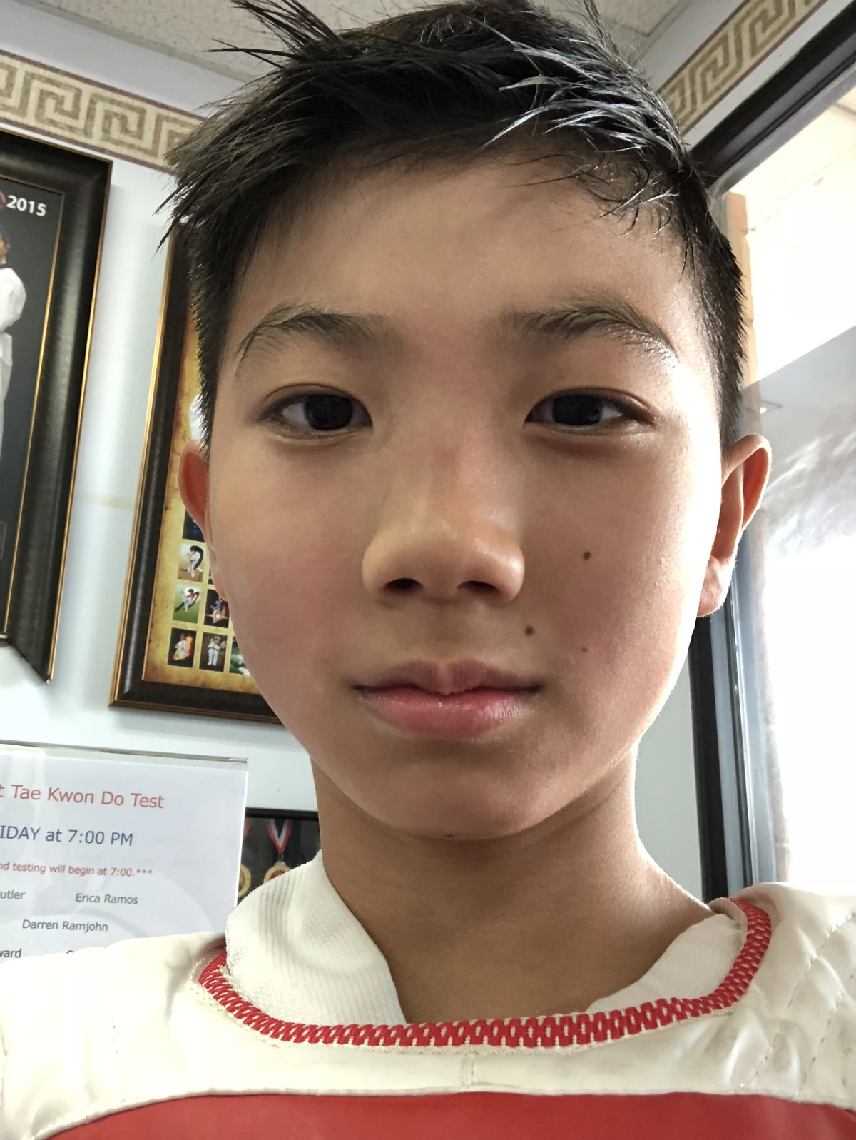 Tiger | Scholastic Forums Wiki | Fandom