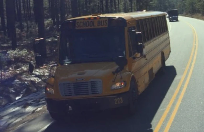 Bus 223 | School Buses of Harnett County NC Wiki | Fandom