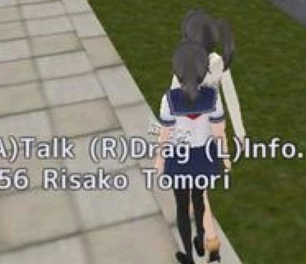 Risako Tamori | School Girls Simulator Wiki | Fandom