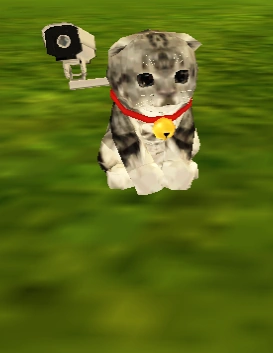 Sora | School Girls Supervisor Saori Sato Wiki | Fandom