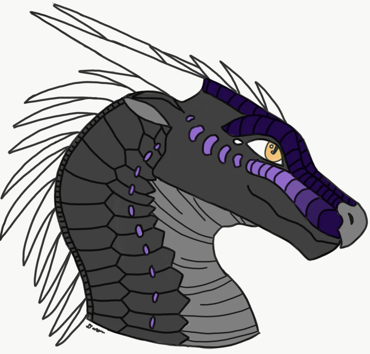 Shadow | School of the SuperNatural Wiki | Fandom