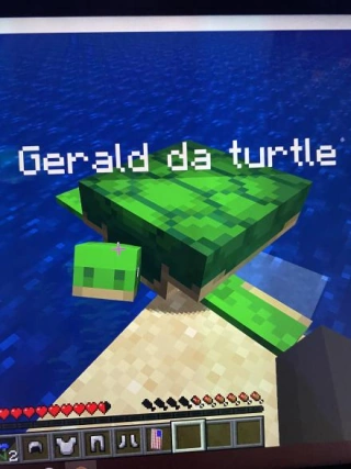 Gerald the Turtle | School SMP Server Wiki | Fandom