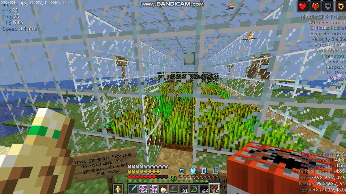 AnarchyMC | School SMP Server Wiki | Fandom