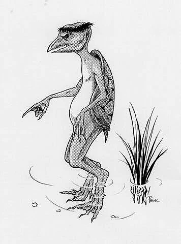 Kappa | Wiki Schoolofmagic | Fandom