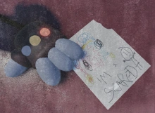 The Website | School of Loplop Wiki | Fandom