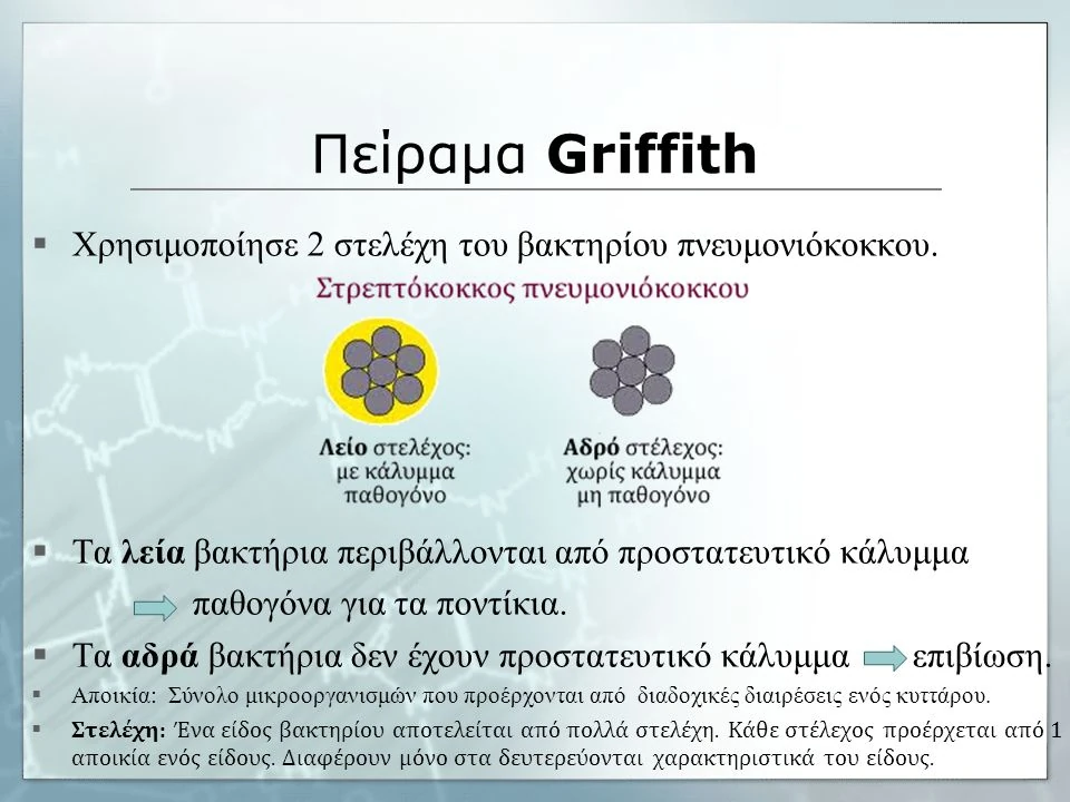 Πείραμα Griffith | Science Wiki | Fandom