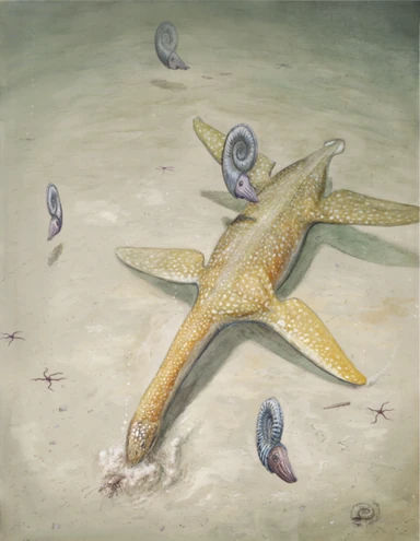 Арминизавр | Наука | Fandom