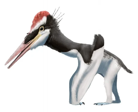 Криптодракон | Наука | Fandom