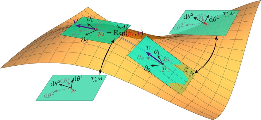 Γεωμετρία Riemann | Science Wiki | Fandom