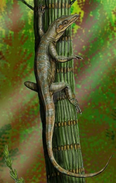 Мезенозавр | Наука | Fandom