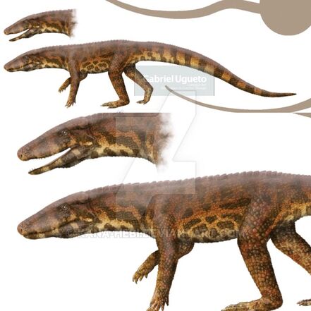 Гесперозух | Наука | Fandom