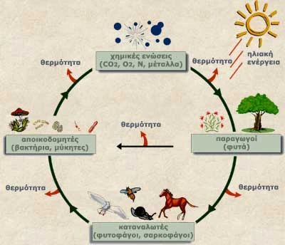 Οργανισμοί και Περιβάλλον | Science Wiki | Fandom