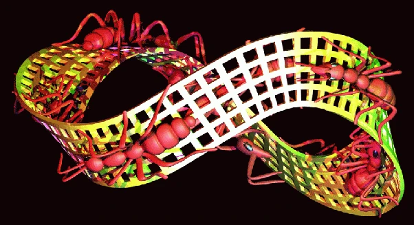 Λωρίδα Mobius | Science Wiki | Fandom