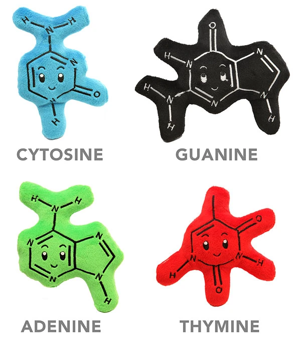 Κυτοσίνη | Science Wiki | Fandom