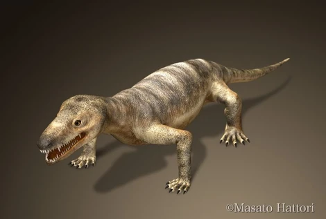 Процинозух | Наука | Fandom