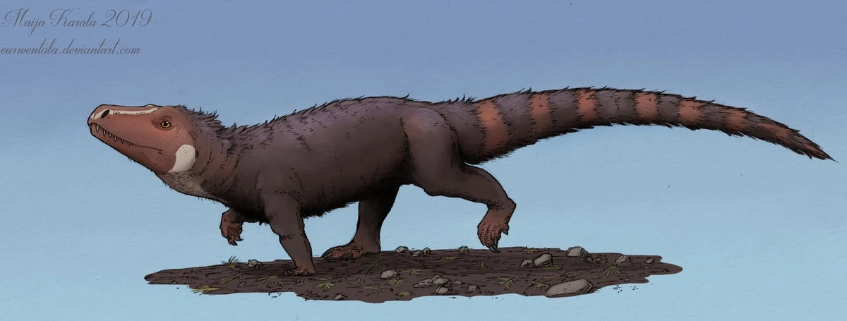 Блог участника:Viggo Jackson/Bone histology of Azendohsaurus laaroussii ...