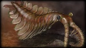 Anomalocaris | Wiki Sciences | Fandom