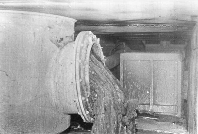 Corium | Wiki Sciences | Fandom