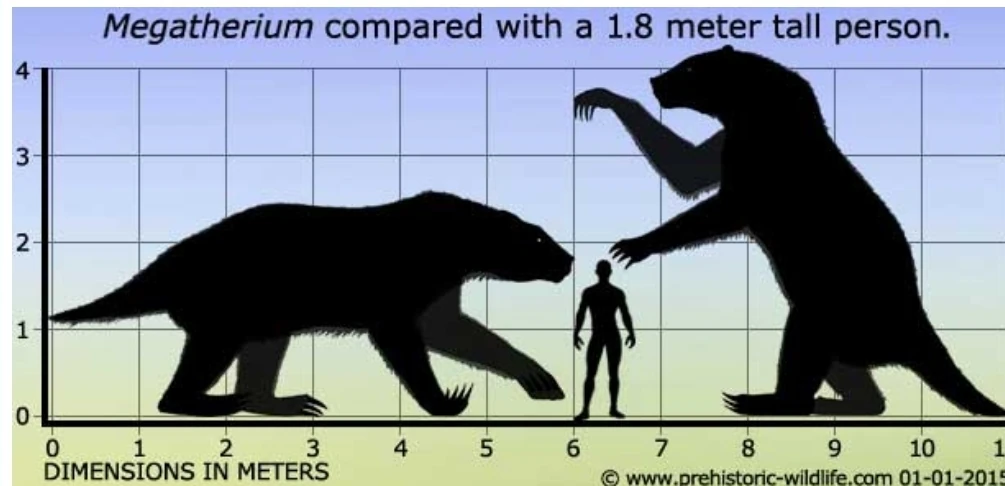 Megatherium | Wiki Sciences | Fandom