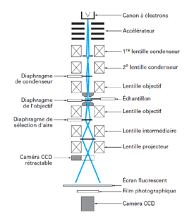 Microscope | Wiki Sciences | Fandom