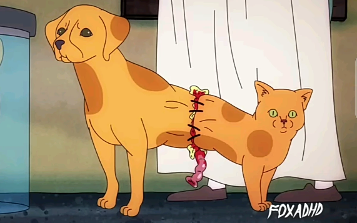 CatDog (character) | Scientifically Accurate Wiki | Fandom