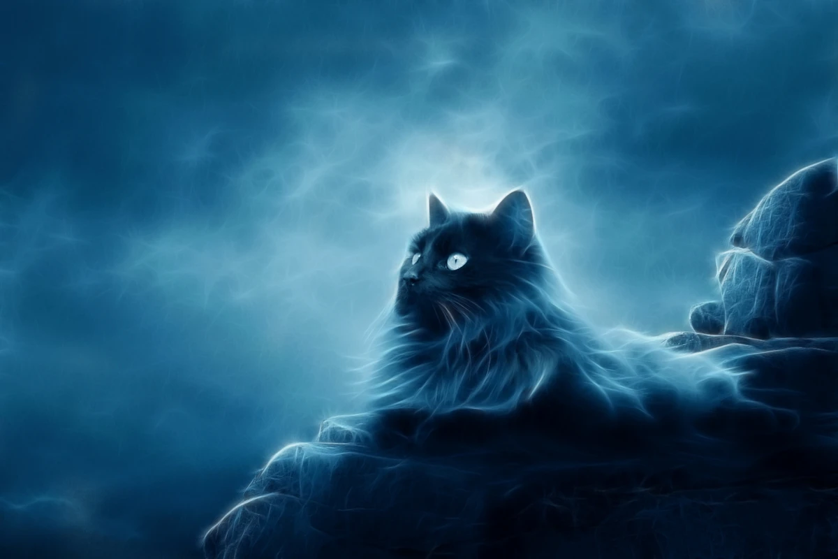 Kai | Sciffy Wiki | Fandom