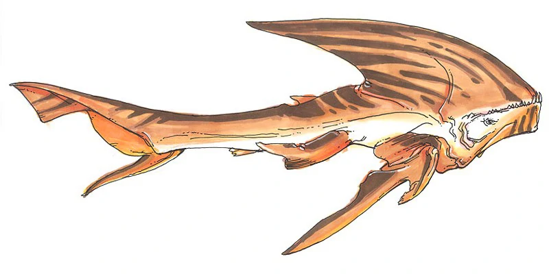 Firaxan shark | Sci-fi Roleplay Wiki | Fandom