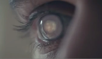 Grain | WikiSciFi | Fandom