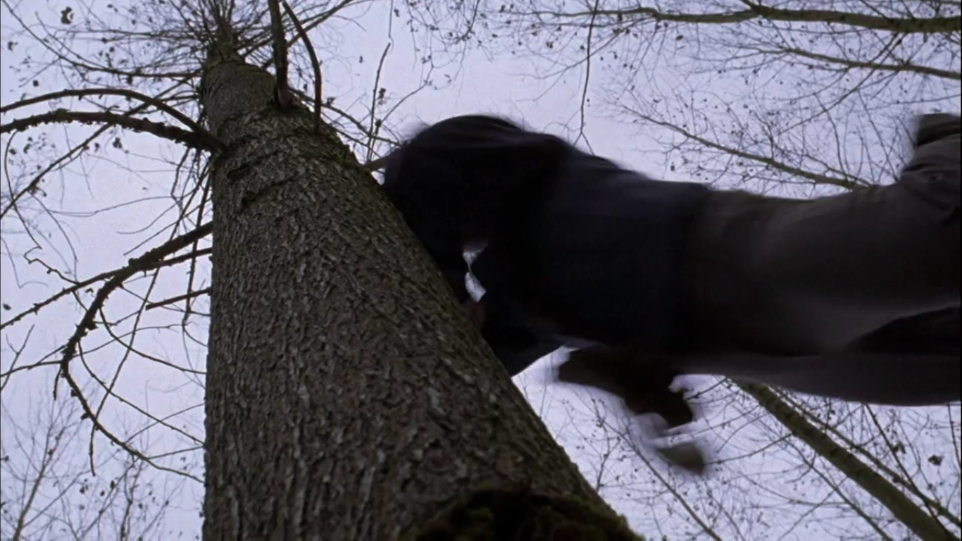 ogre 2008 kill count