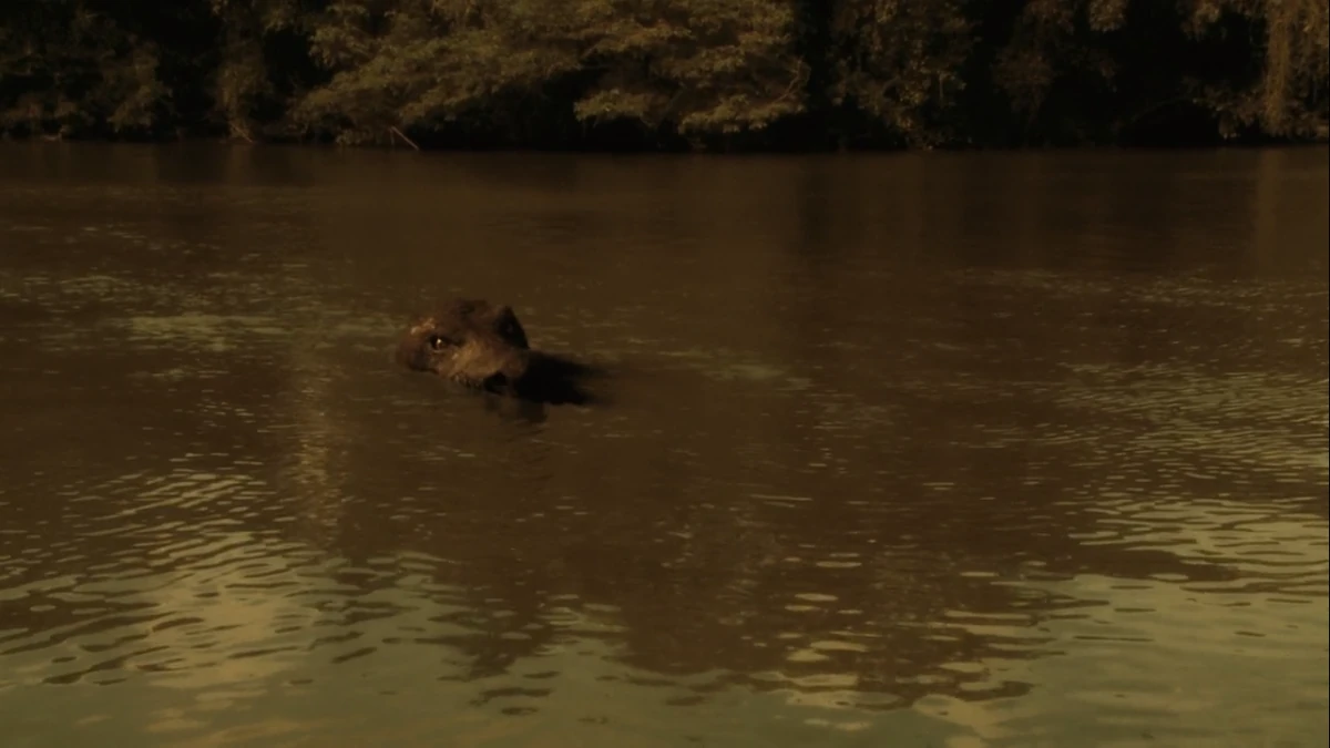 Alligator (Mega piranha) | Syfy Wiki | Fandom