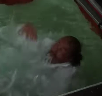 David (6-Headed shark Attack) | Syfy Wiki | Fandom