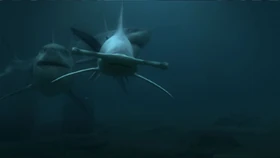 Sharks (Shark Swarm) | Syfy Wiki | Fandom