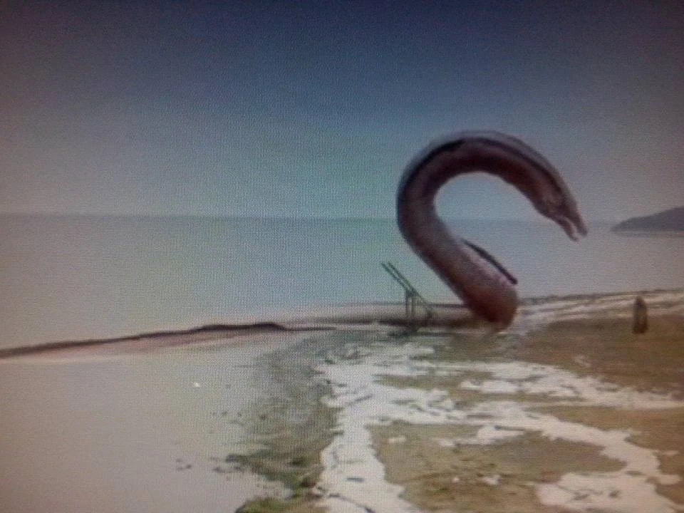 Jormungand | Syfy Wiki | Fandom