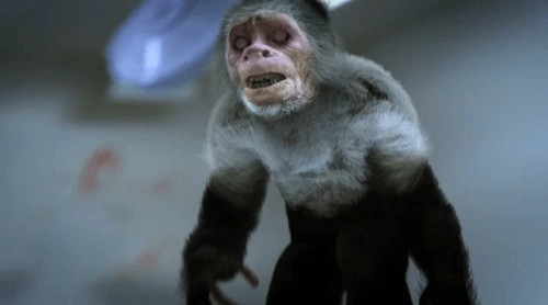 Zombie Monkey | Syfy Wiki | Fandom