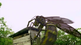 Dragon Wasp | Syfy Wiki | Fandom