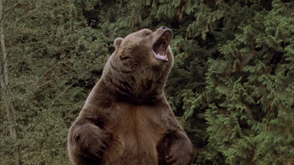 Alien Bear (Savage Planet) | Syfy Wiki | Fandom