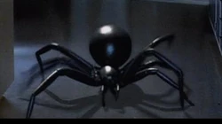 Ice Spiders Syfy