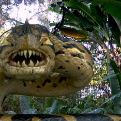 Dinoshark Vs Piranhaconda