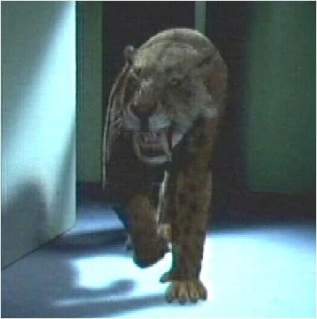 Sabertooth Tiger (Attack of the Sabretooth) | Syfy Wiki | Fandom