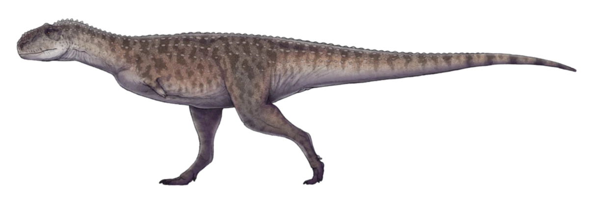Rajasaurus | SciiFii Wiki | Fandom