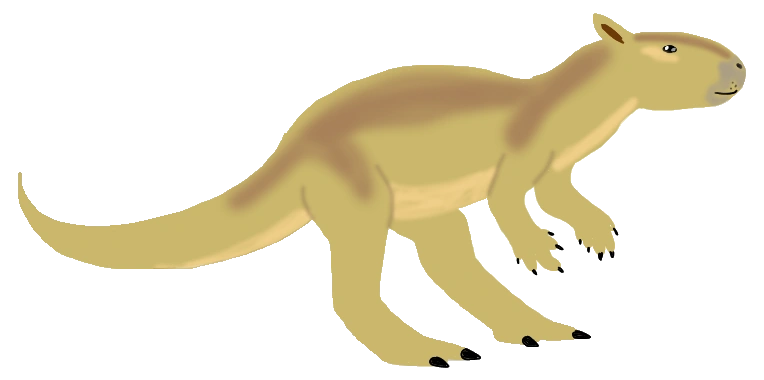 Donder | SciiFii Wiki | Fandom