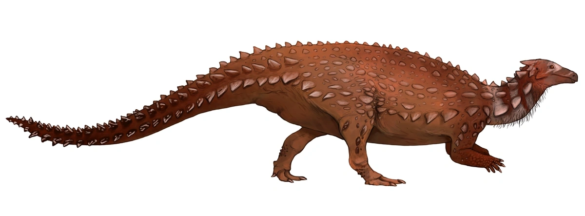 Scelidosaurus | SciiFii Wiki | Fandom