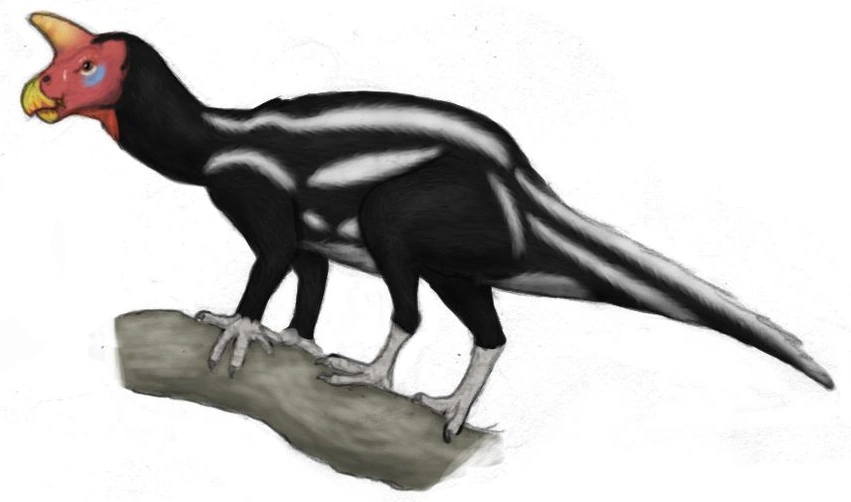 Crackbeak | SciiFii Wiki | Fandom