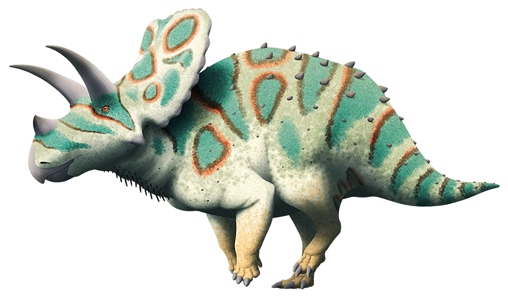 Torosaurus | SciiFii Wiki | Fandom